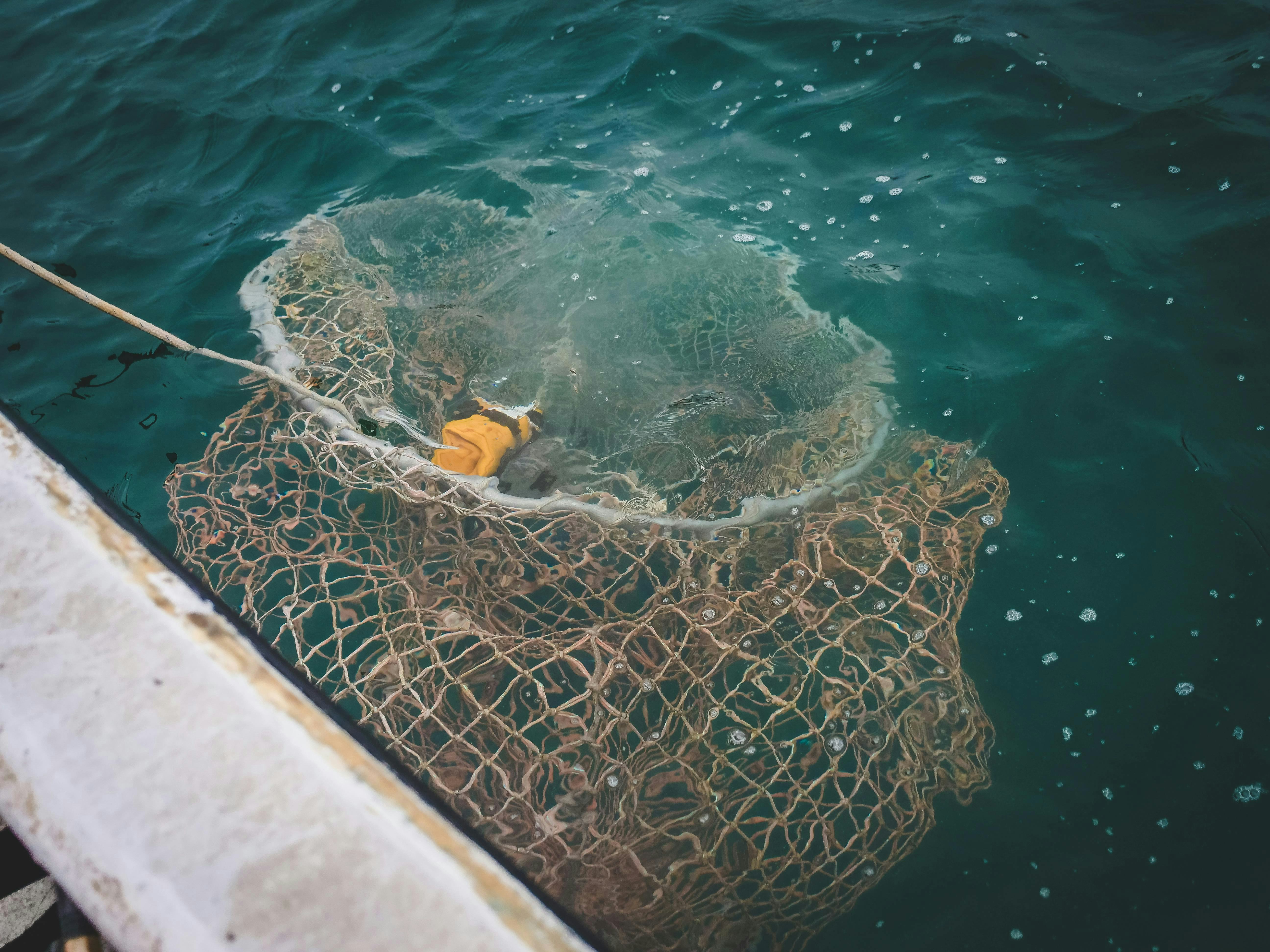 Recycling abandoned fishing gear to protect marine life