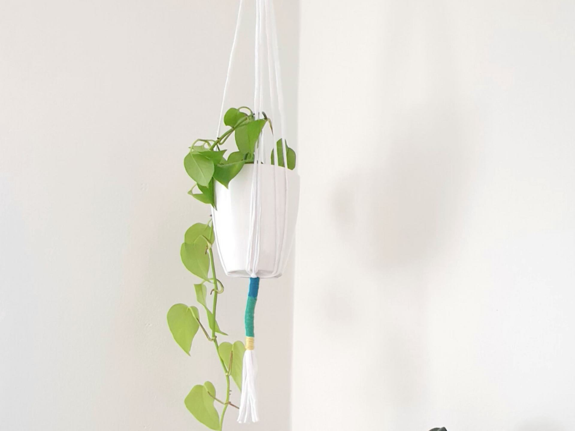 5 easy reuse projects to become a DIY master