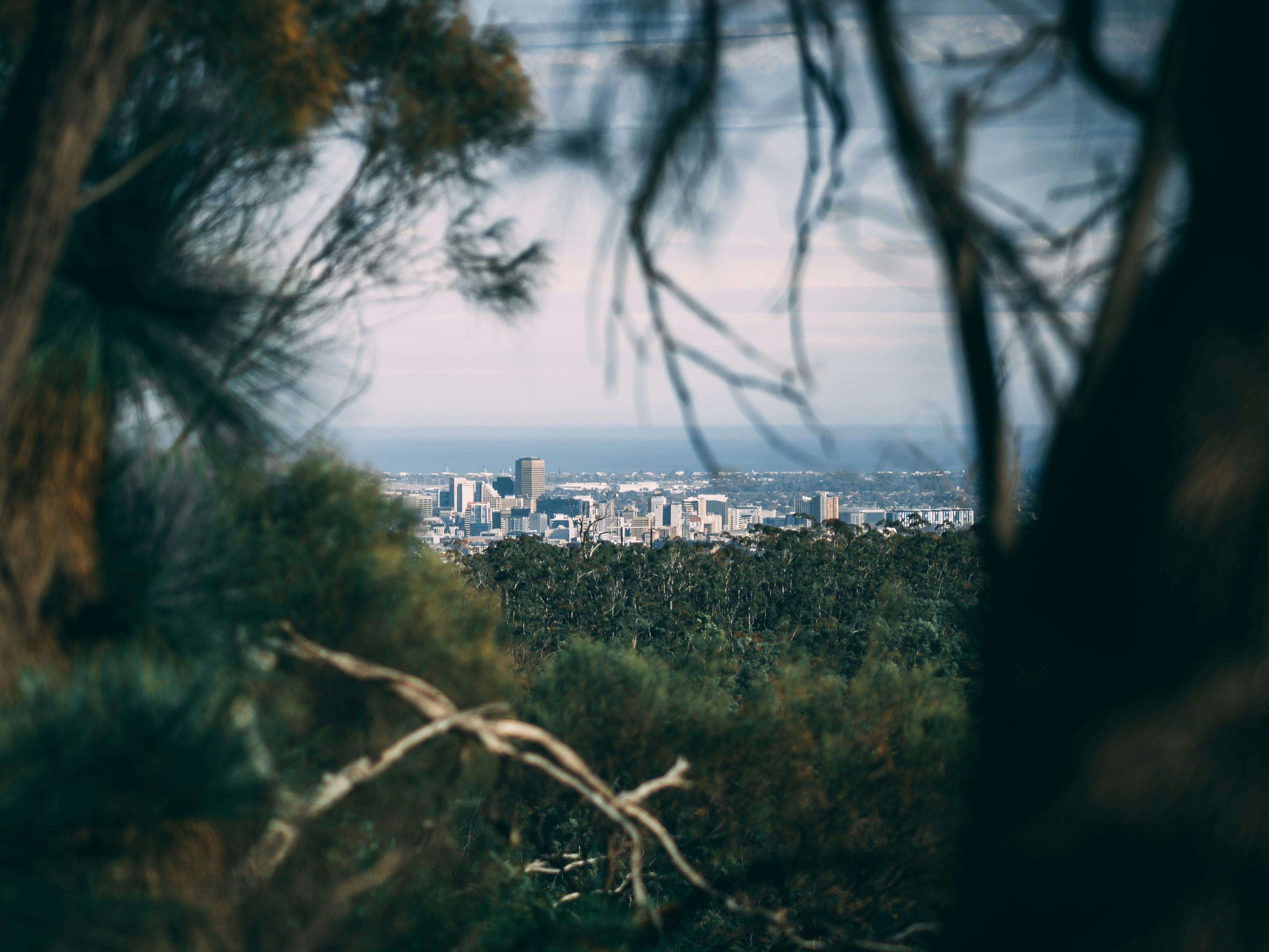 Planet Ark joins forces with Circular360 to support South Australia’s ...