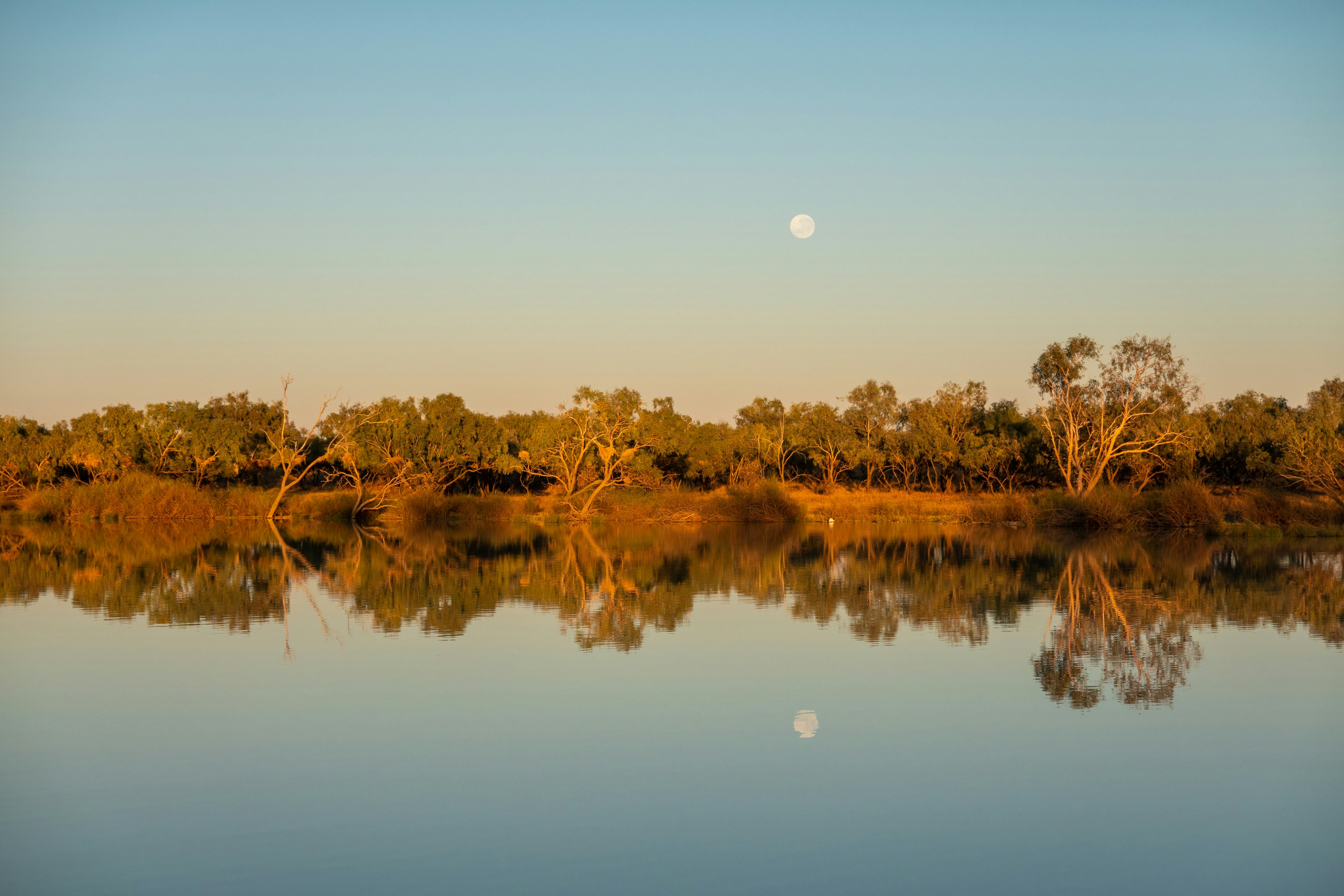 shutterstock_1664986810.jpg?q=50&auto=compress&w=1