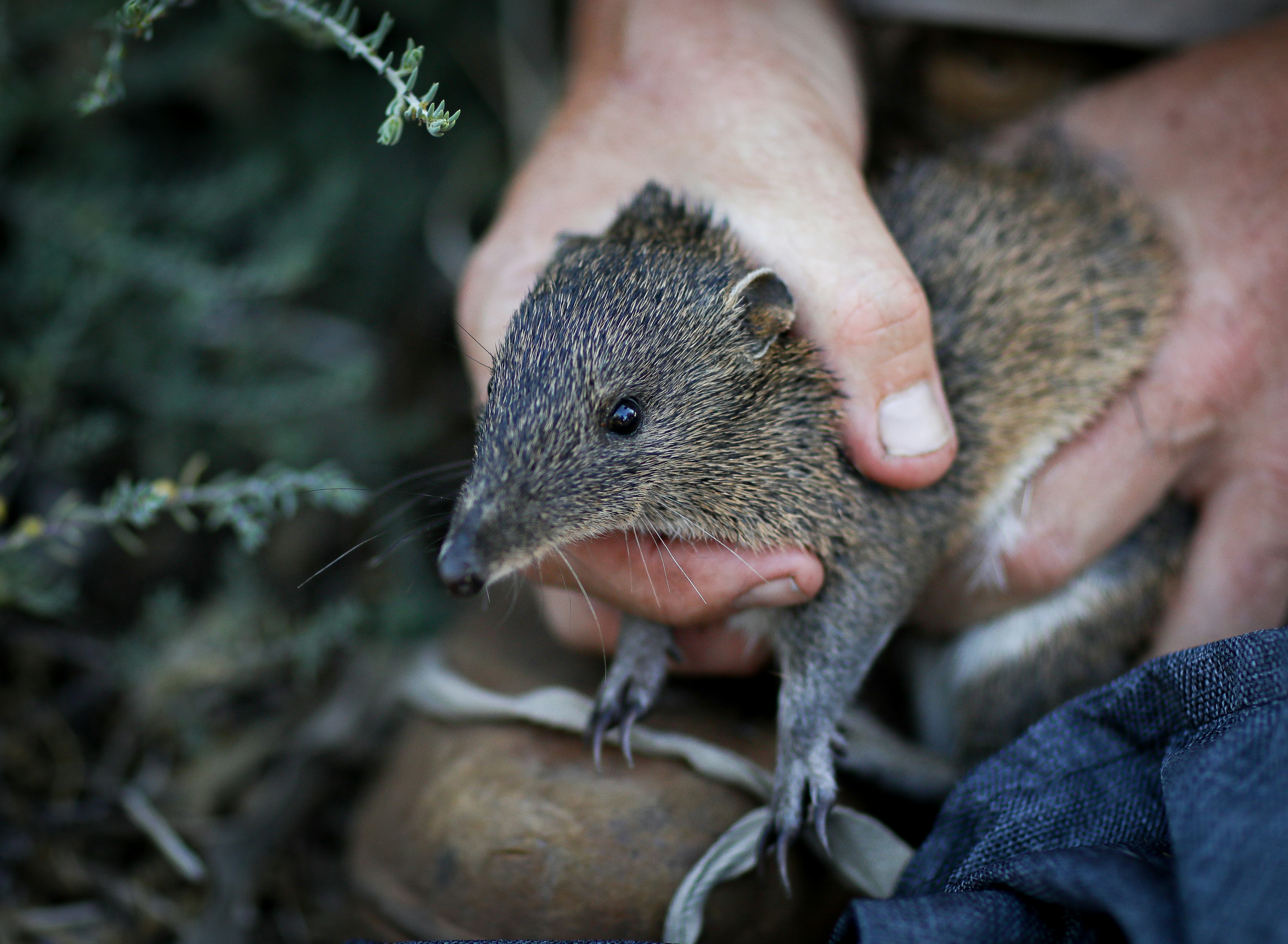 MicrosoftTeams-image__85_.png?q=50&auto=compress&w=1