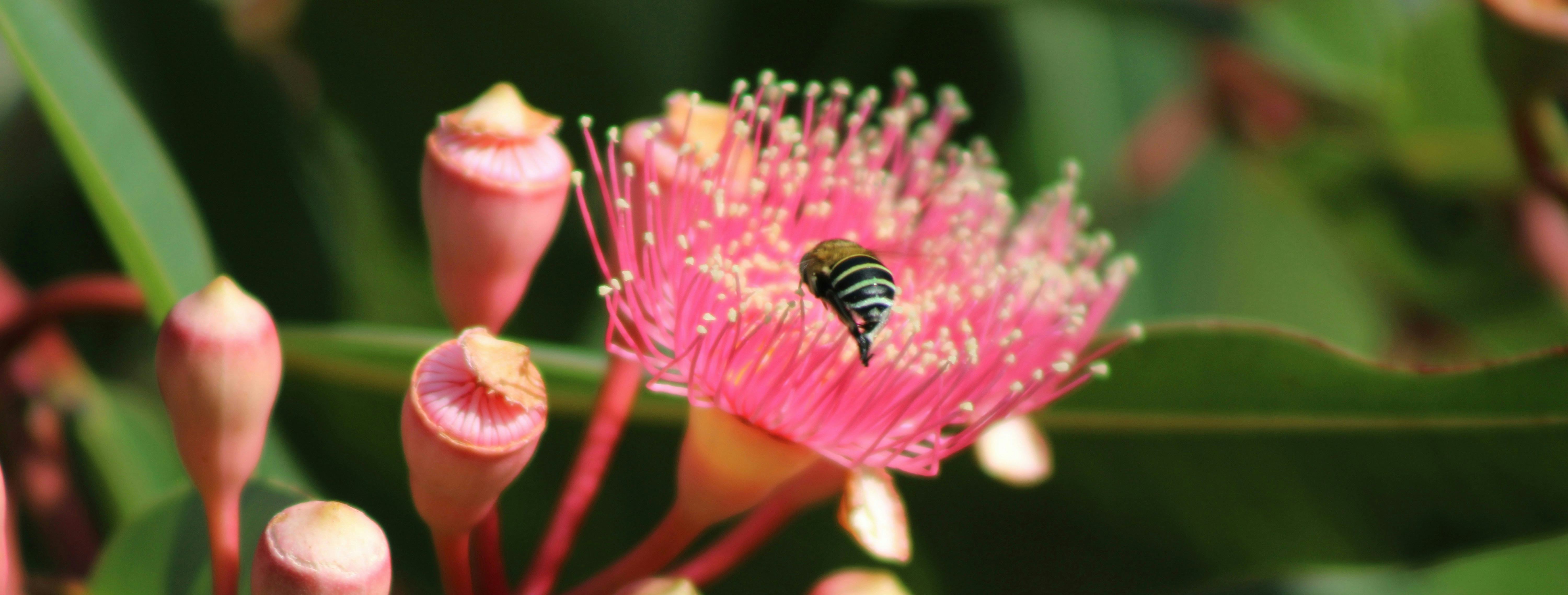 isis-FLM-GoTl-ug-unsplash.jpg?q=50&auto=compress&w=1