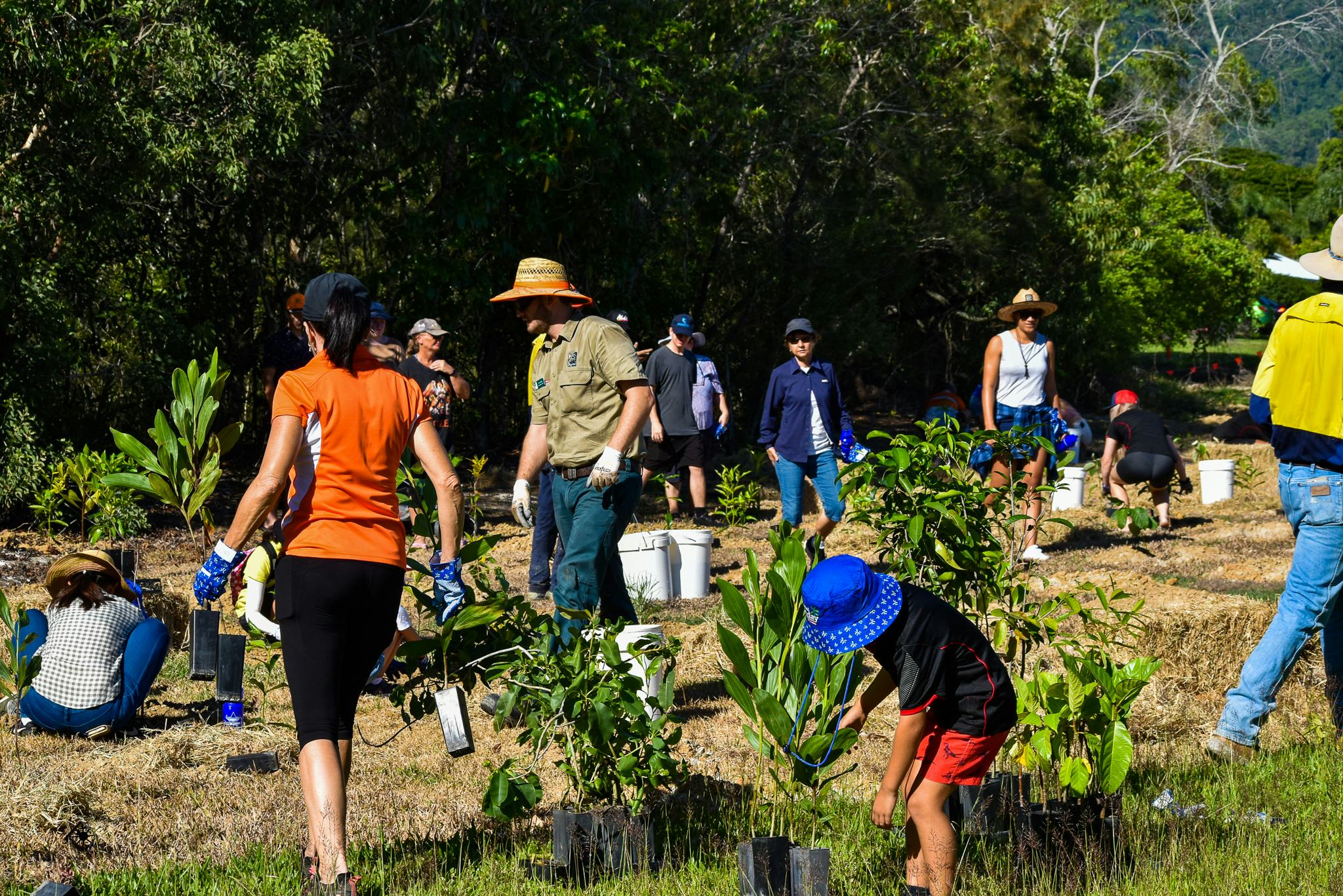 DSC_0045__1___1_.jpg?q=50&auto=compress&w=1