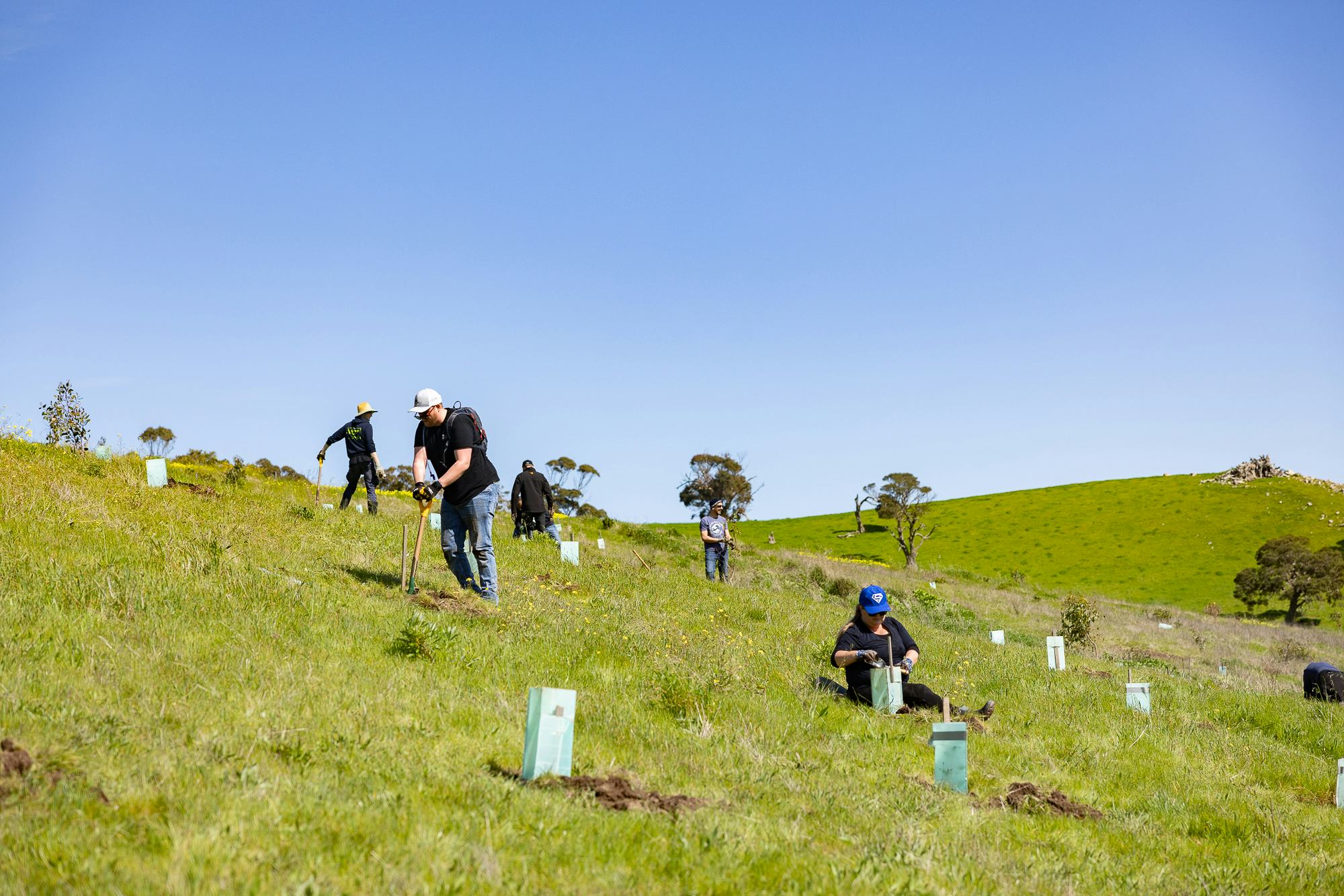 0R9A9149-low-res-2000px.jpg?q=50&auto=compress&w=1