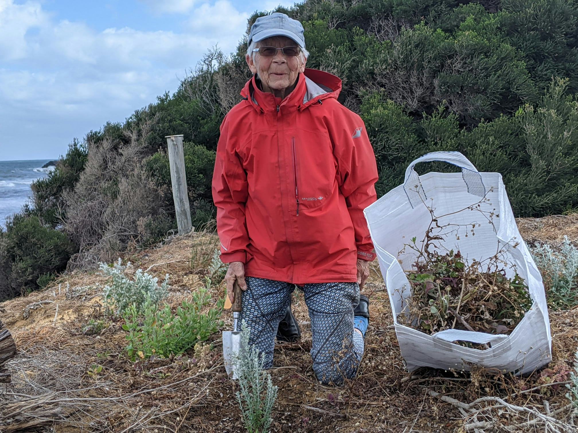 Cottesloe_planting.png?q=50&auto=compress&w=1