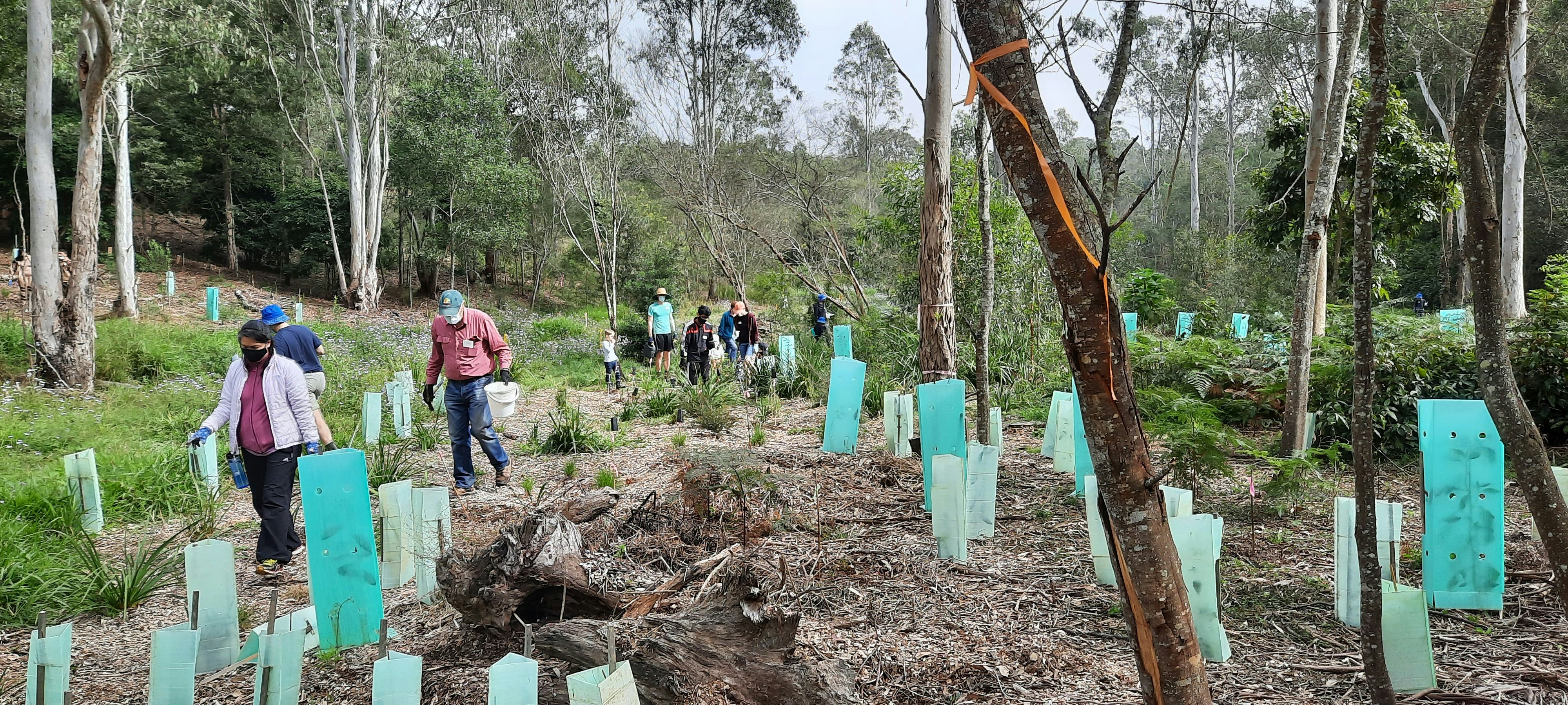 Planting20210815b.jpg?q=50&auto=compress&w=1