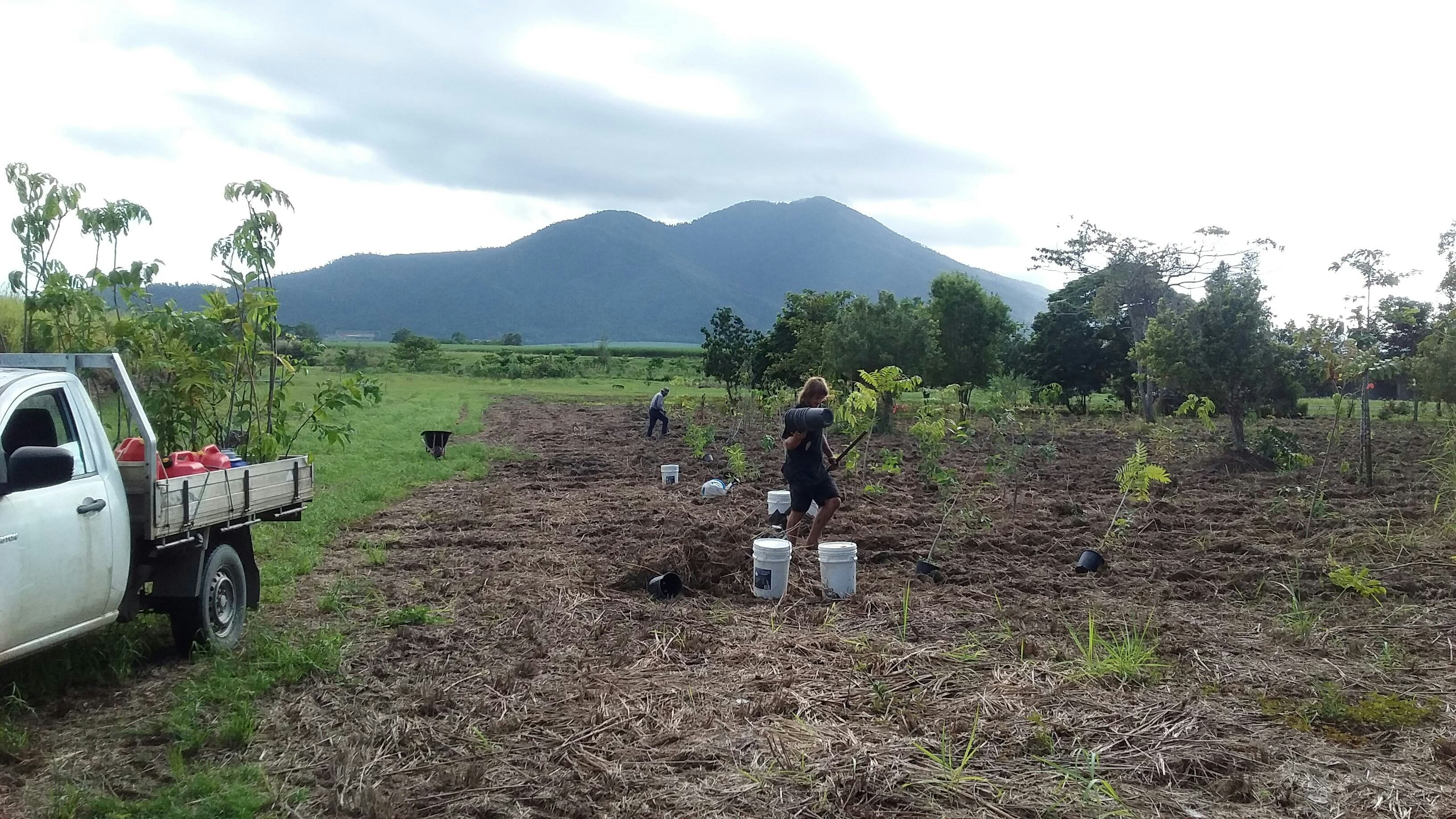 Miyawaki2.jpg?q=50&auto=compress&w=1