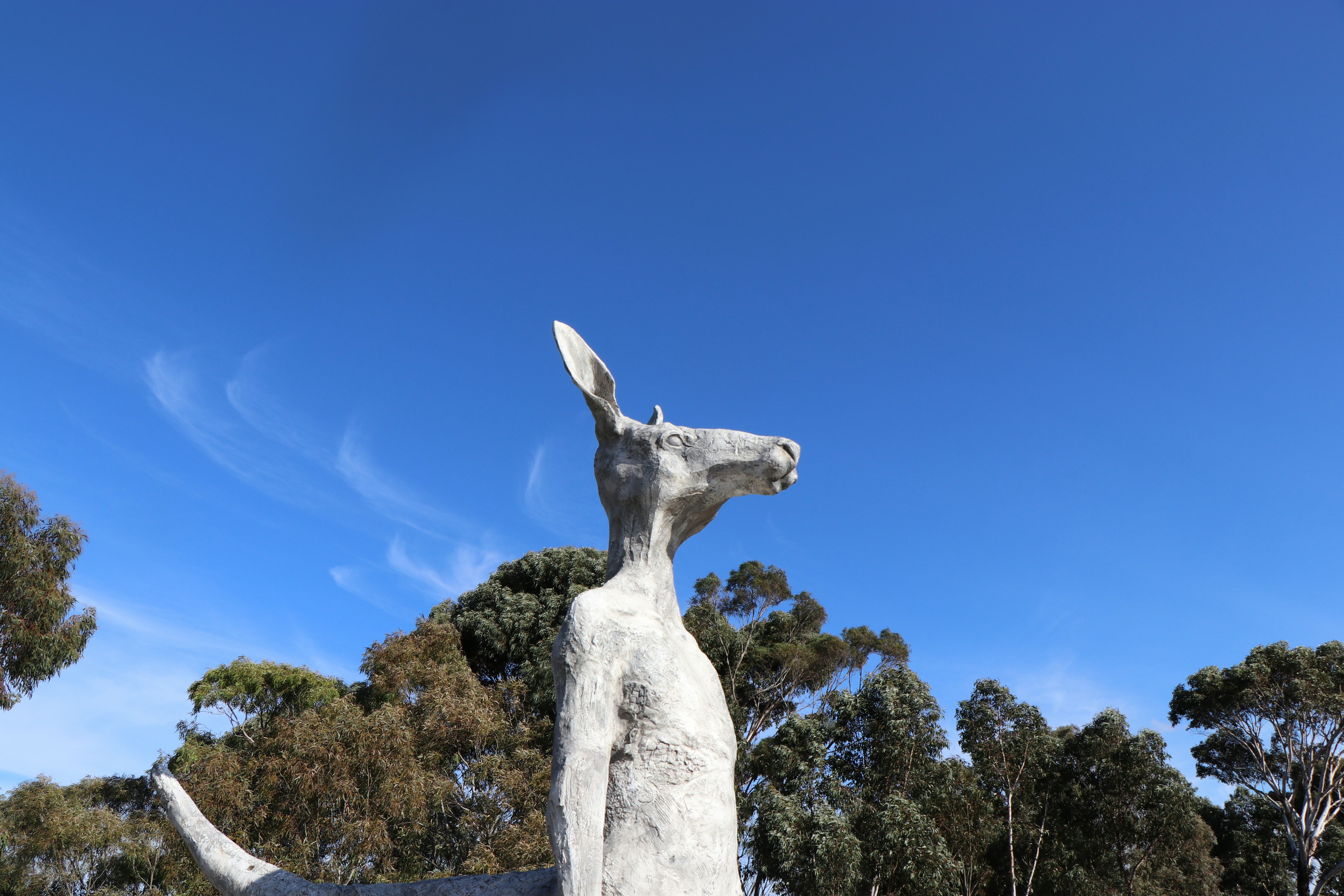 IMG_0494.JPG?q=50&auto=compress&w=1