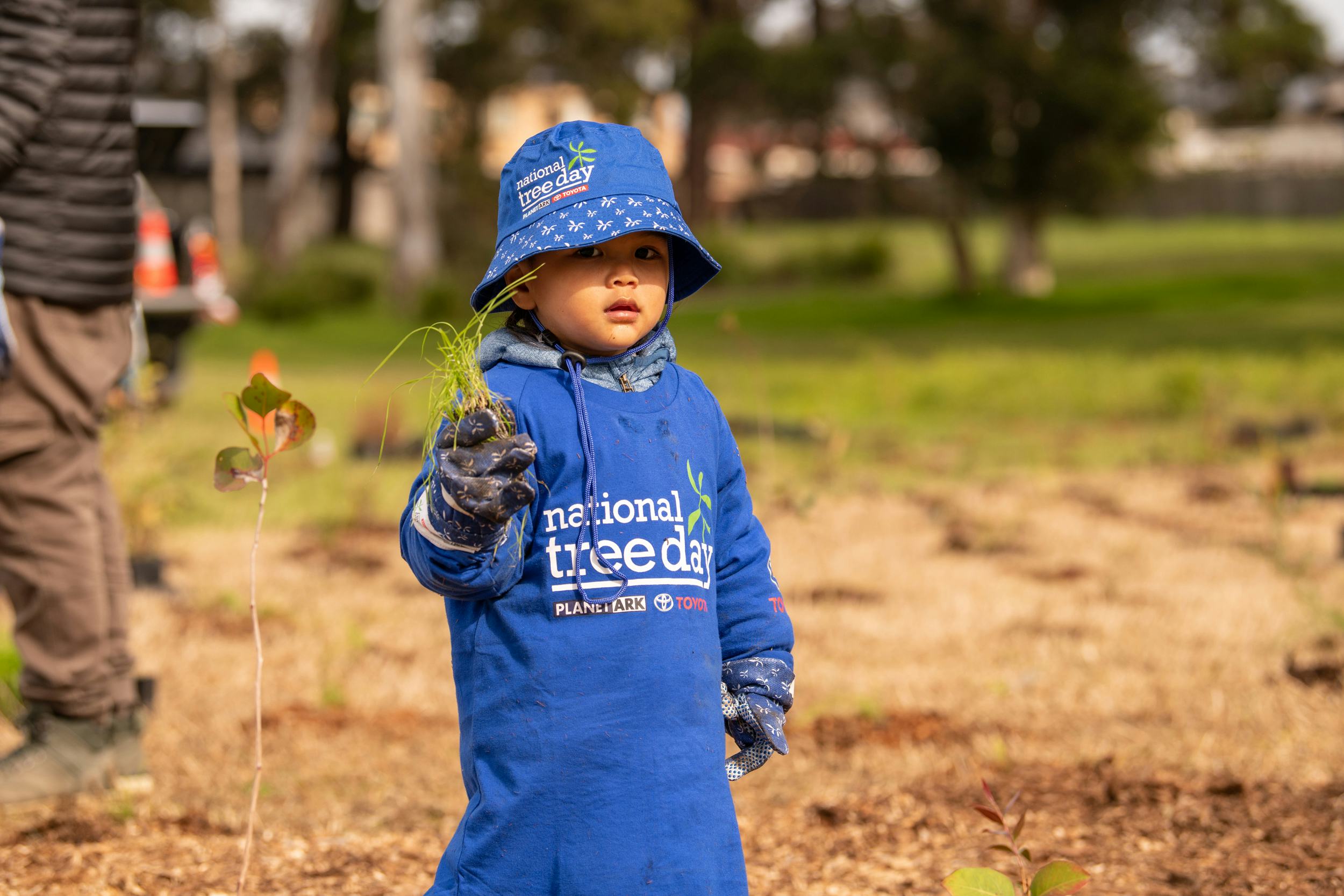 NTD_LR-219__1_.jpg?q=50&auto=compress&w=1